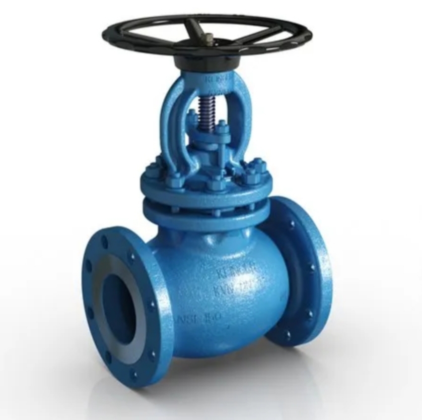 Piston Valve Flanged – Nafe Steel